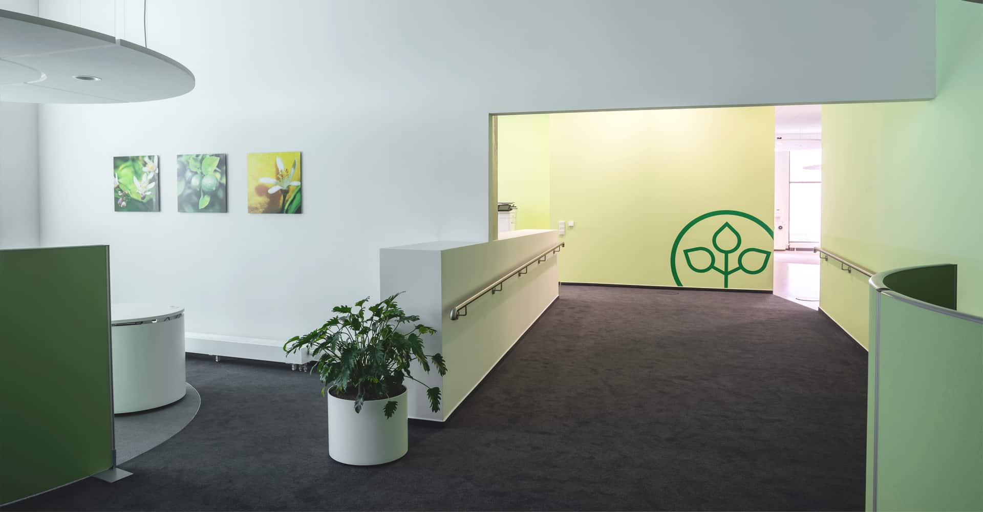 Umbau AOK PLUS Filiale Dresen im Zwingerforum